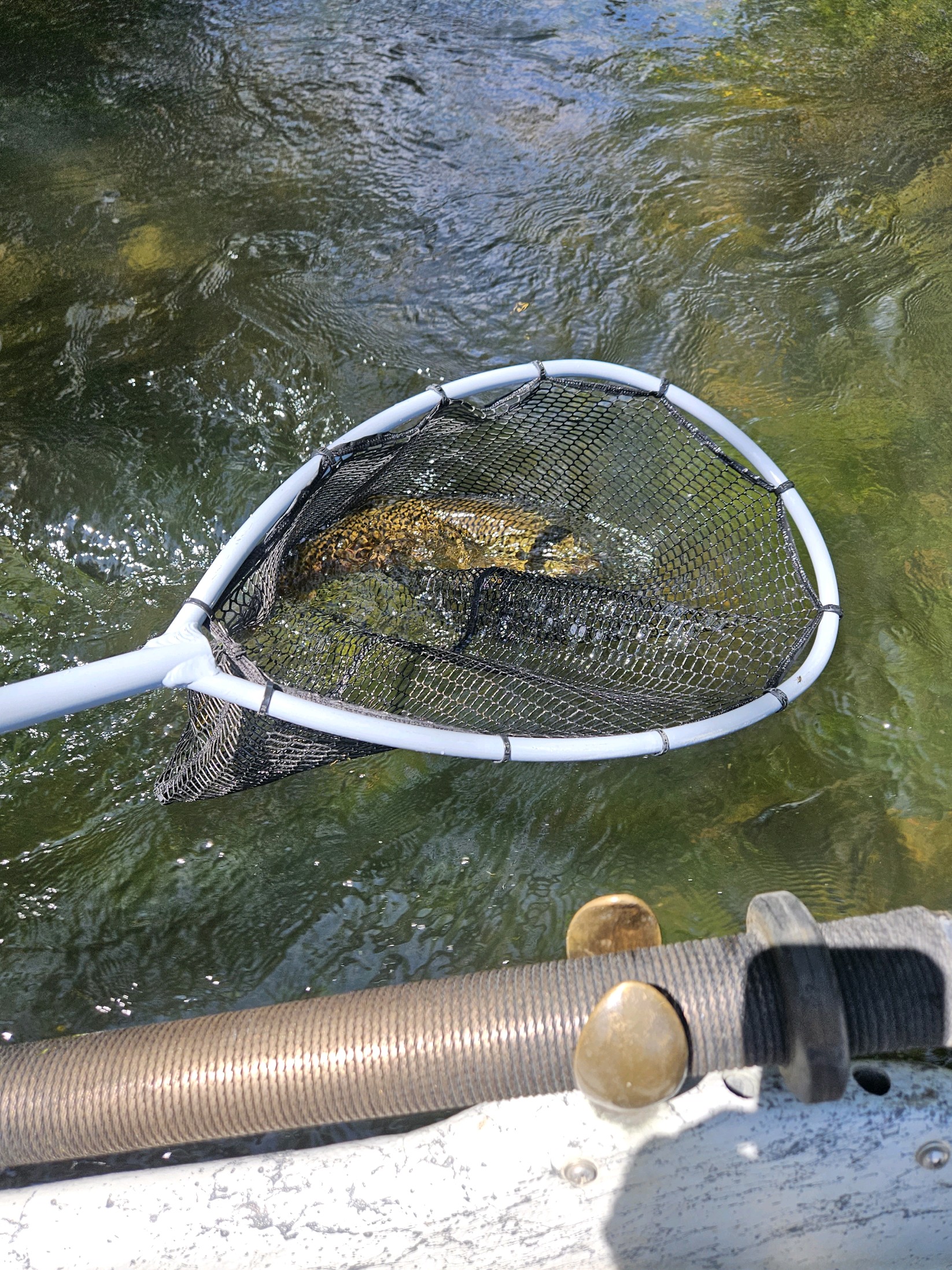 Gallery – North Fork Nets