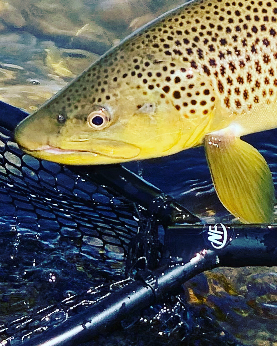 Gallery – North Fork Nets