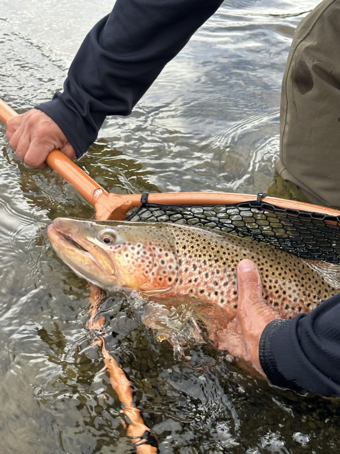 North Fork Nets – Elevate Your Fishing Experience